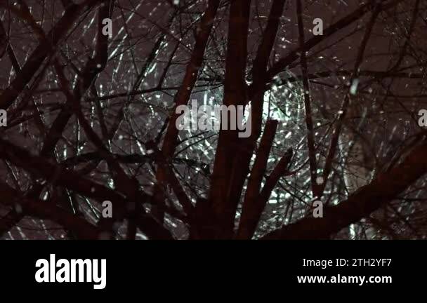 Beautiful night sky, the Milky Way, moon and the trees. Elements of ...