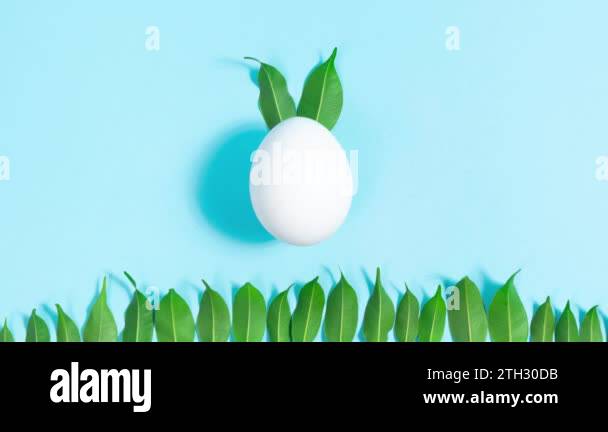 White chicken egg decorated with natural green leaves, symbol of Easter ...