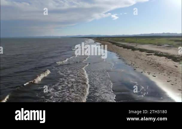 Flying over the foamy waves of the Sea of Okhotsk, running onto a sandy ...