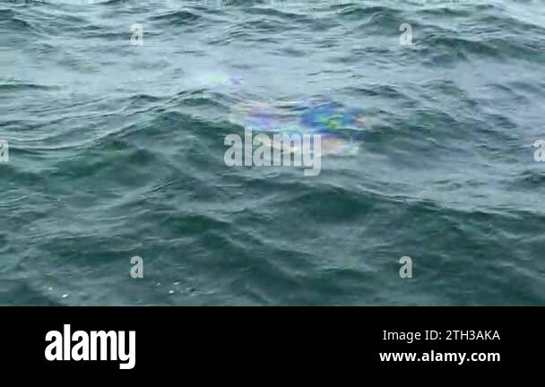 Surface oil slick Stock Videos & Footage - HD and 4K Video Clips - Alamy