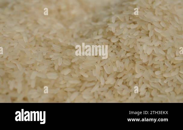 Shooting the texture of grains of rice. Rice grains are translucent and ...