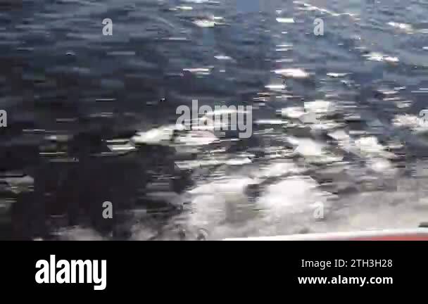 Fast moving boat Stock Videos & Footage - HD and 4K Video Clips - Alamy