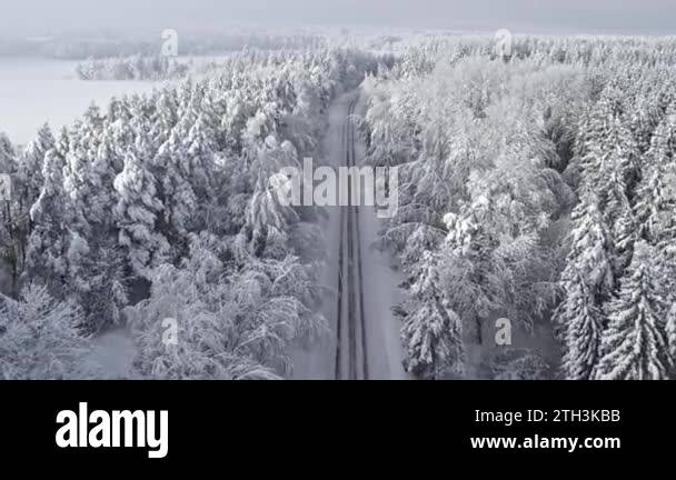 Droopy trees Stock Videos & Footage - HD and 4K Video Clips - Alamy