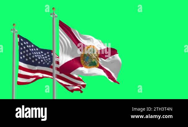 Florida state flag waving with the national flag of the United States ...