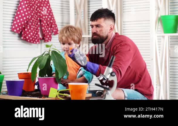 Family potting plant at home. Father ans son growing plant in pot ...