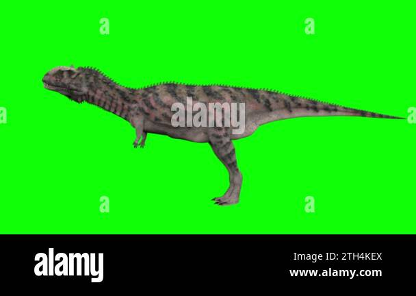 Dinosaur animation on green screen. GI realistic render Stock Video ...