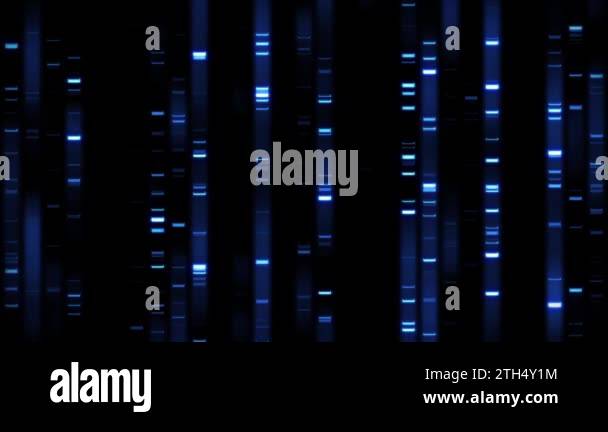 Dna fingerprint dna fingerprint Stock Videos & Footage - HD and 4K ... Dna fingerprint dna fingerprint Stock Videos & Footage - HD and 4K ...