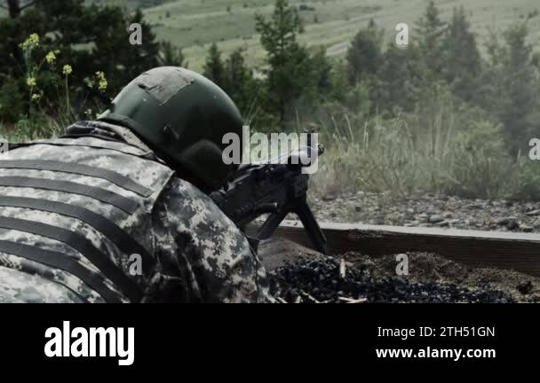 Gun trees Stock Videos & Footage - HD and 4K Video Clips - Alamy