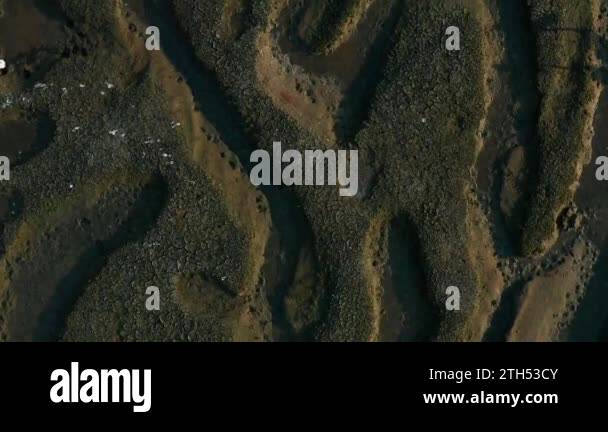 Muddy zone, at the end of a 30 km long bay, channels formed by the ...