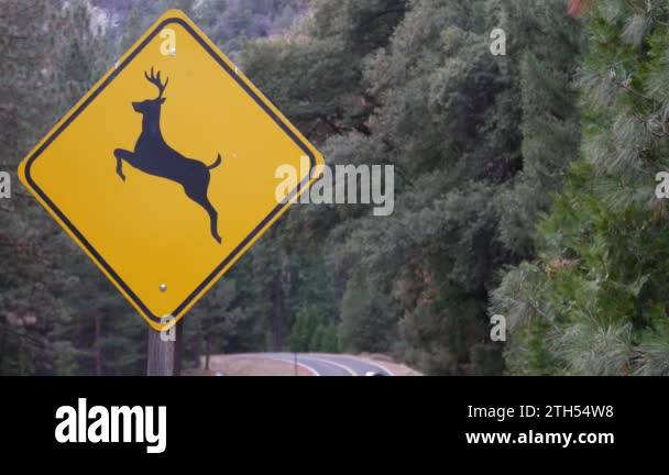 Deer crossing warning yellow sign, California USA. Wild animals xing ...