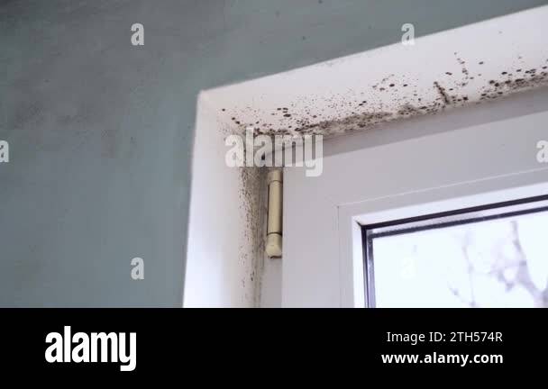 Condensation mould window Stock Videos & Footage - HD and 4K Video ...