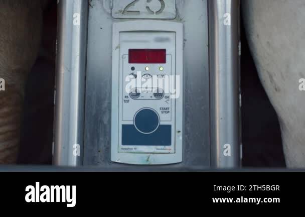 Technological equipment cow milking system displaying important ...