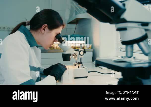 Soil nematodes Stock Videos & Footage - HD and 4K Video Clips - Alamy