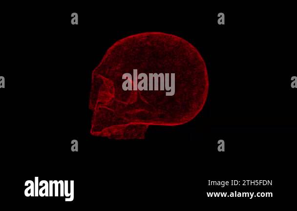3d Skull Rotates On Black Bg Object Dissolved Red Flickering Particles 60 Fps Business