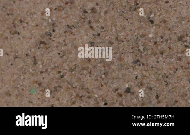 Microplastic in sand, contaminated soil. An environmental problem ...