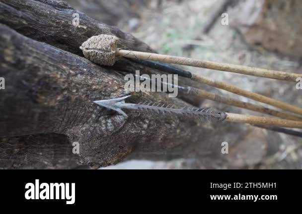 Weapons africa Stock Videos & Footage - HD and 4K Video Clips - Alamy