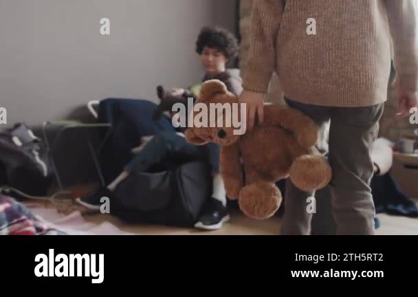 Curly bear Stock Videos & Footage - HD and 4K Video Clips - Alamy