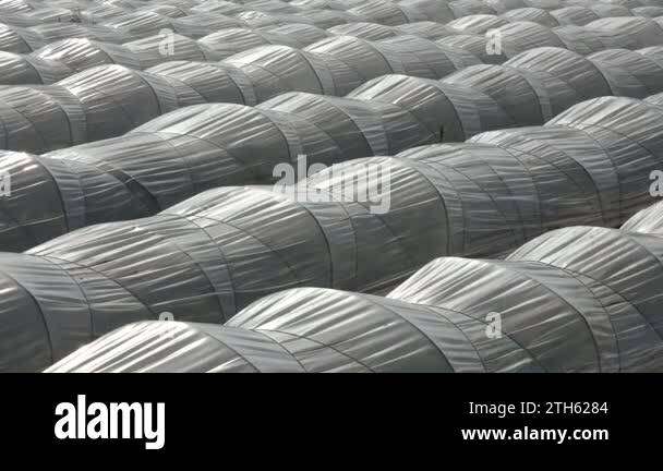 Farm plantation covered under agricultural plastic film tunnel rows ...