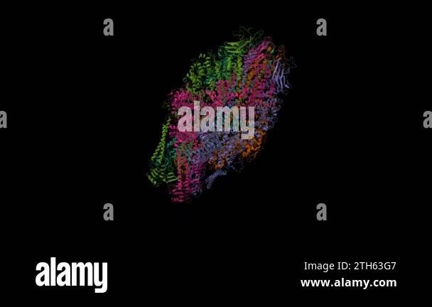Cryo-EM structure of Yersinia pseudotuberculosis TcaA-TcaB. Animated 3D ...