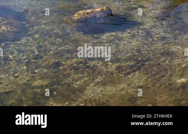 Water footprint cycle Stock Videos & Footage - HD and 4K Video Clips ...