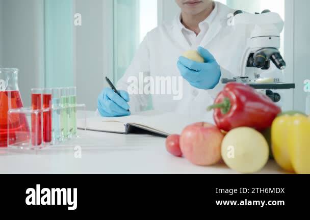 Scientist check chemical fruit residues in laboratory. Control experts ...