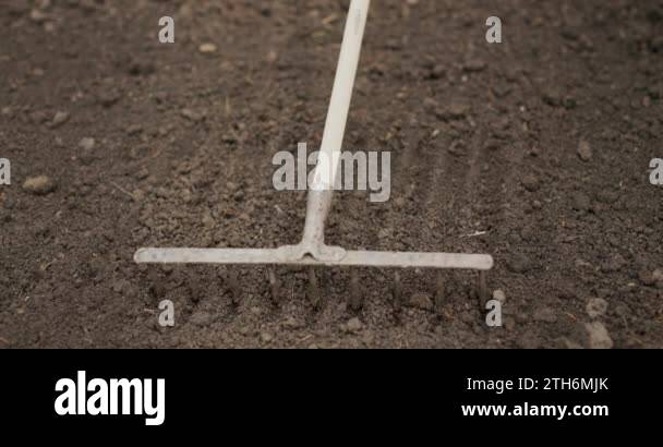 Rake in row garden Stock Videos & Footage - HD and 4K Video Clips - Alamy