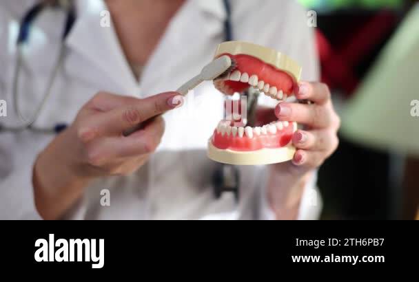 Dentist shows patient to brush teeth in dental clinic. Doctor ...