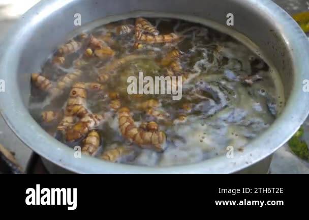 A close up shot of turmeric root being boiled in a big pot . Turmeric ...