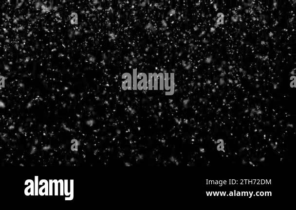 Falling realistic natural snowflakes from top to bottom, calm snow ...