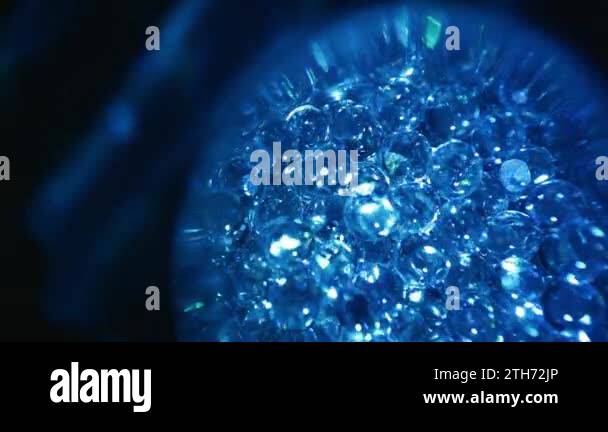 246 Fertilization And Early Embryonic Development