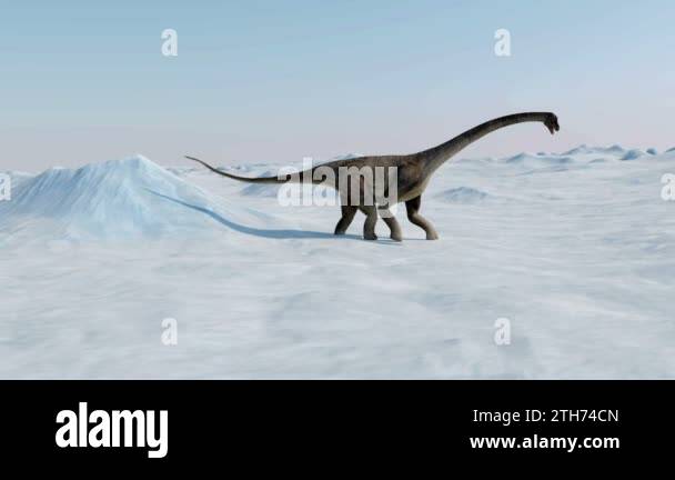 Polar dinosaurs Stock Videos & Footage - HD and 4K Video Clips - Alamy