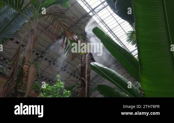 Irrigation system close up. Air humidification with steam in a batanic ...