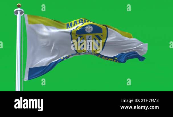 Leeds, UK, Oct. 2022: The Leeds United flag waving isolated on a green ...