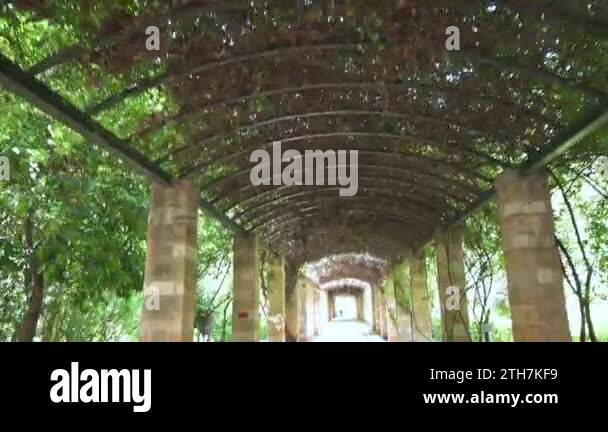Full arch Stock Videos & Footage - HD and 4K Video Clips - Alamy