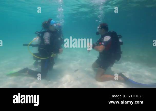 Padi dive instructor Stock Videos & Footage - HD and 4K Video Clips - Alamy