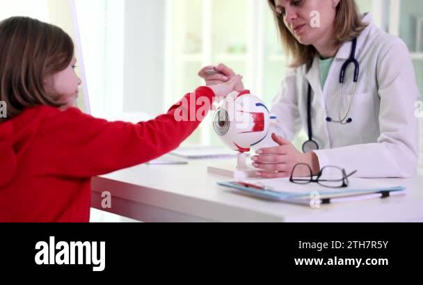 Ophthalmologist teaches anatomy of eye in clinic to girl child. Anatomy ...