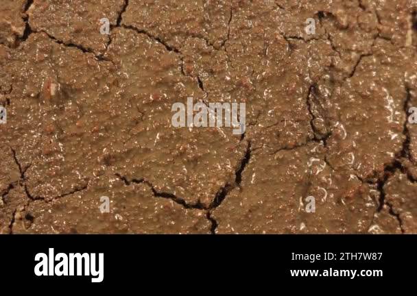 Land drops Stock Videos & Footage - HD and 4K Video Clips - Alamy