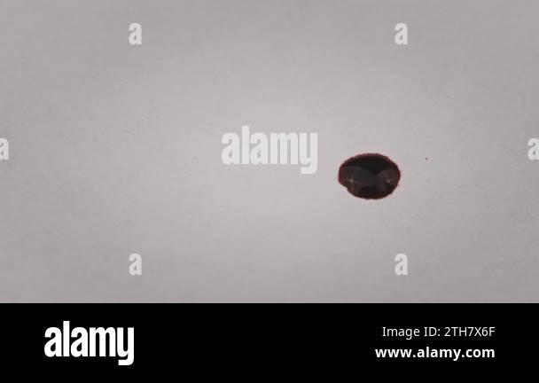 Texture white fiber paper Stock Videos & Footage - HD and 4K Video ...