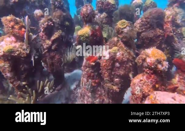 4k video footage of MUSA - The Museum of Underwater Art in Isla Mujeres ...