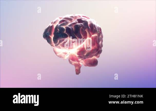 Human brain concept illustrating the brain activity of a transparent ...
