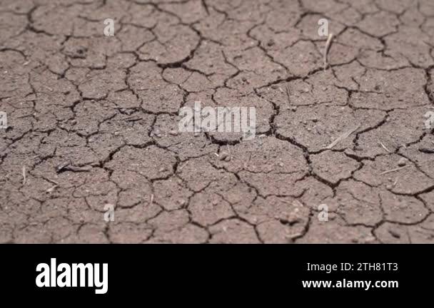 Ground dry drought background Stock Videos & Footage - HD and 4K Video ...