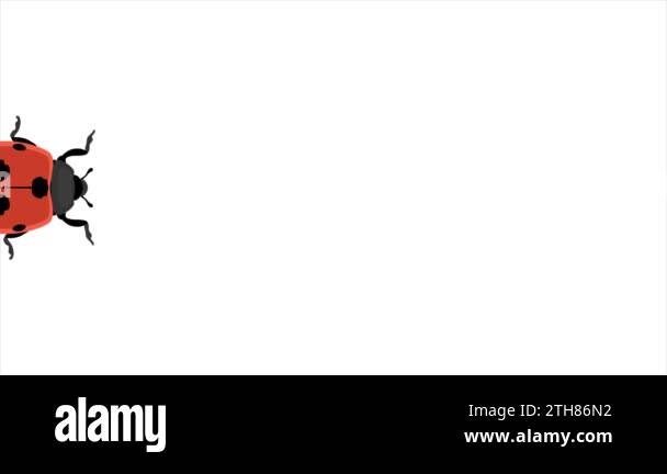 Vermin illustration Stock Videos & Footage - HD and 4K Video Clips - Alamy