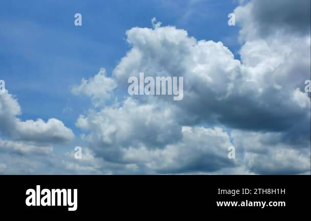 Blue sky white clouds. Puffy fluffy white clouds. Cumulus cloud cloudscape timelapse. Summer ...