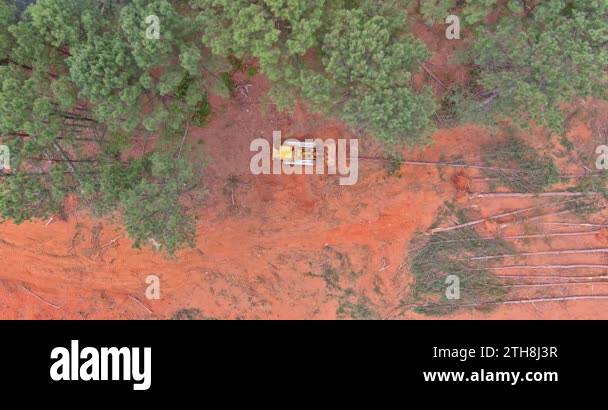 Deforestation and preparation of land for construction using a dozer to ...