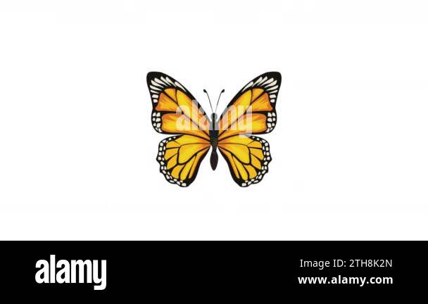 Yellow butterfly insect flying animation Stock Videos & Footage - HD ...