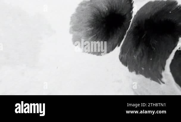 Ink water splash. Paint drop. Transition overlay. Black wet stain wave ...