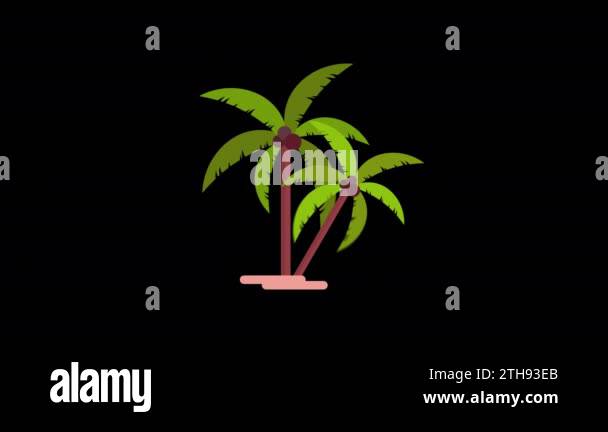 plam tree icon loop Animation video transparent background with alpha channel Stock Video ...