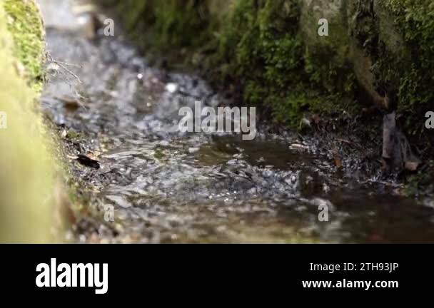 Alhambra water channel Stock Videos & Footage - HD and 4K Video Clips ...