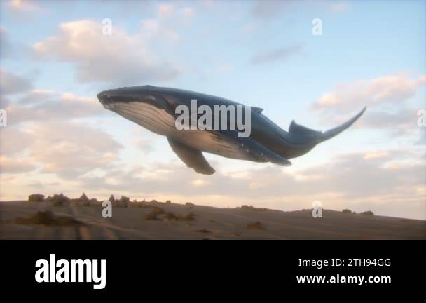 Surrealist Animation of a Humpback Whale in the Sky. Fantasy Imagining ...