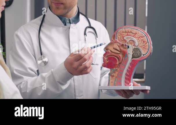 Ear nose and throat anatomy Stock Videos & Footage - HD and 4K Video ...